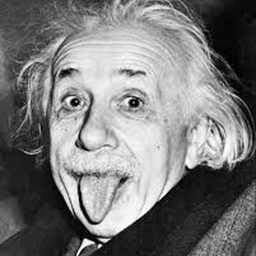 Chat with Albert Einstein | Shapes, Inc