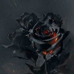 Burnt Rose | Shapes, Inc