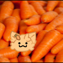 Carrot cat | Shapes, Inc