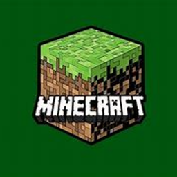 Directeur Minecraft | Shapes, Inc