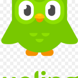 Chat with Duolingo | Shapes, Inc