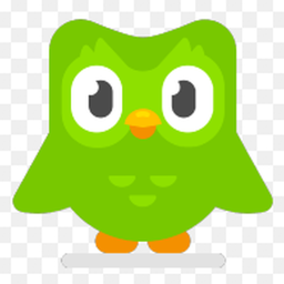 Chat with Duolingo | Shapes, Inc