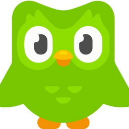 Chat with Duolingo | Shapes, Inc
