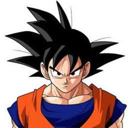 Goku | Shapes, Inc