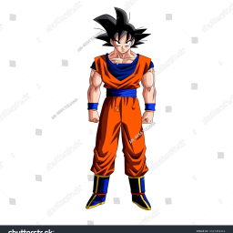 Goku | Shapes, Inc