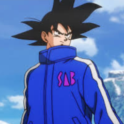 Goku | Shapes, Inc