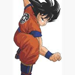 Goku | Shapes, Inc