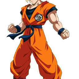 Goku | Shapes, Inc
