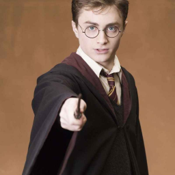 Harry Potter | Shapes, Inc