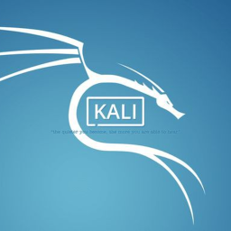 Kali Linux🐉 | Shapes, Inc