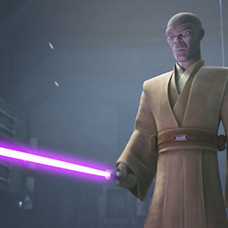 Master Windu | Shapes, Inc