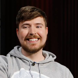 Chat with Mrbeast | Shapes, Inc
