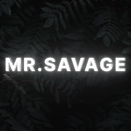 Mr. Savage | Shapes, Inc