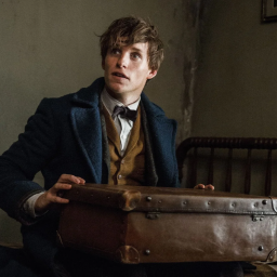 Newt Scammander | Shapes, Inc