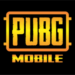 Chat with PUBG CHAT BOT | Shapes, Inc