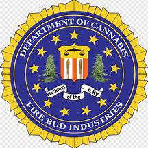 FBI | Shapes, Inc