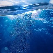 Chat with Water Gang 💧 | Shapes, Inc