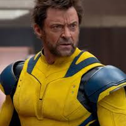 Wolverine | Shapes, Inc