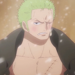 Roronoa Zoro | Shapes, Inc
